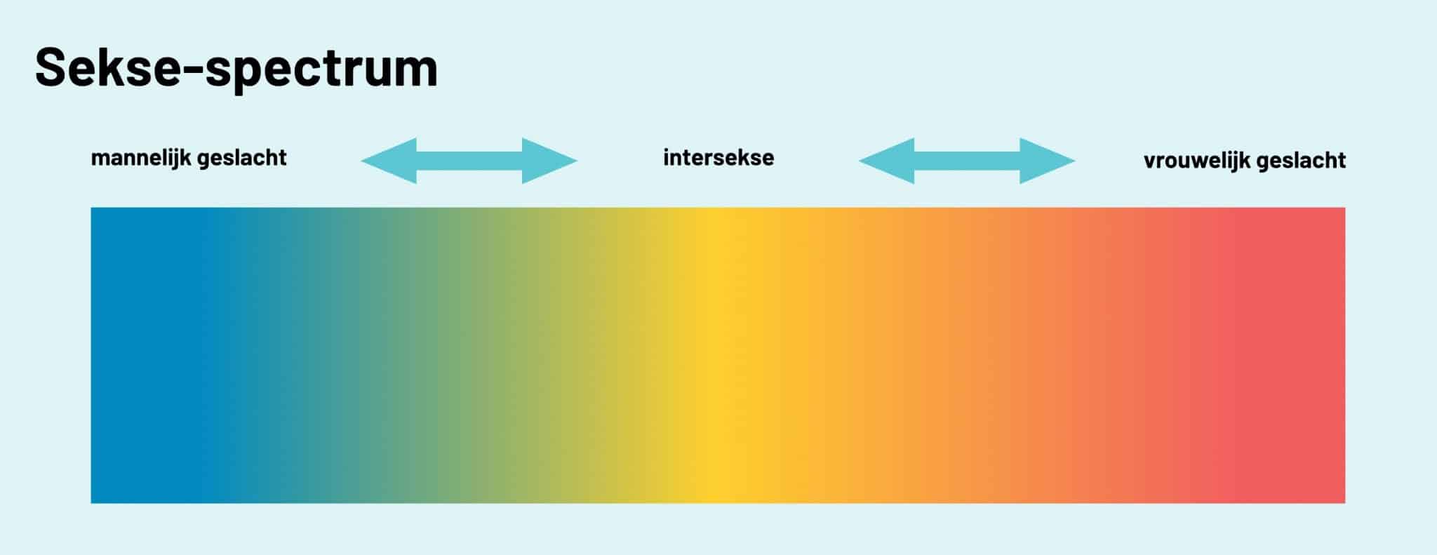 Wat is LGBTQ+? - LGBTQ-woordenboek - weten.site